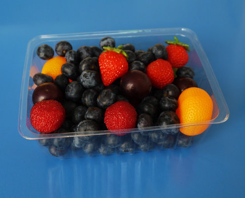 Manufactury Disposable plastic fruit tray 300 grams 500 grams 1000 grams fruit tray Vegetable packaging tray FDA approve