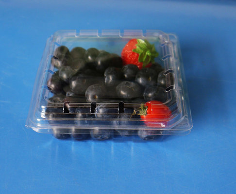 Manufactury Disposable plastic fruit tray 150 grams punnet fruit packaging box blueberry packaging box