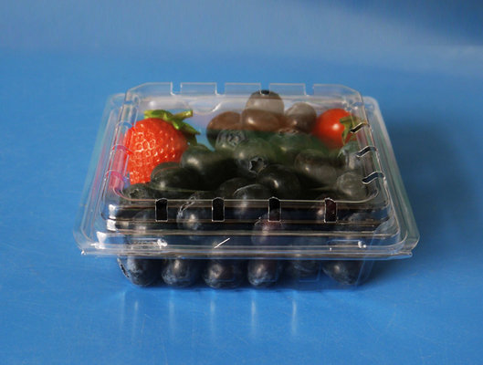 Manufactury Disposable plastic fruit tray 150 grams punnet fruit packaging box blueberry packaging box