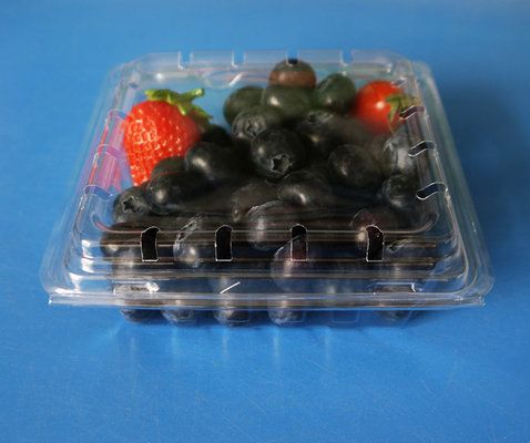 Manufactury Disposable plastic fruit tray 150 grams punnet fruit packaging box blueberry packaging box
