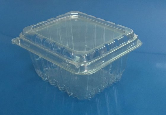 Disposable plastic fruit container Tomotos Grape Blueberry Strawberry packaging box PET food grade packaing FDA EU