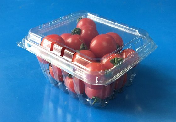 Disposable plastic fruit container Tomotos Grape Blueberry Strawberry packaging box PET food grade packaing FDA EU