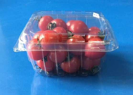 Disposable plastic fruit container Tomotos Grape Blueberry Strawberry packaging box PET food grade packaing FDA EU