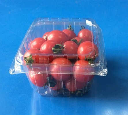 Disposable plastic fruit container Tomotos Grape Blueberry Strawberry packaging box PET food grade packaing FDA EU