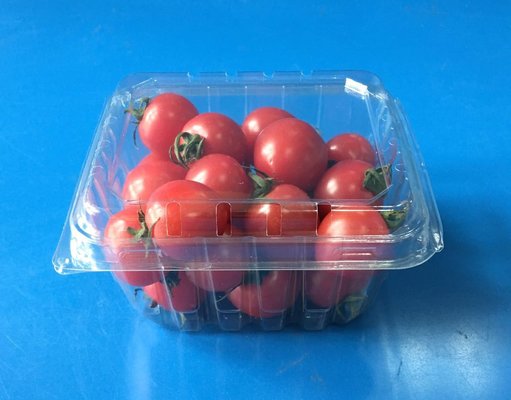 Disposable plastic fruit container Tomotos Grape Blueberry Strawberry packaging box PET food grade packaing FDA EU