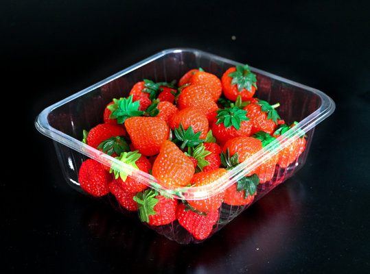 Disposable plastic fruit vegetable food packaging tray 500 grams strawberry packaging tray PET plastic box for fruit