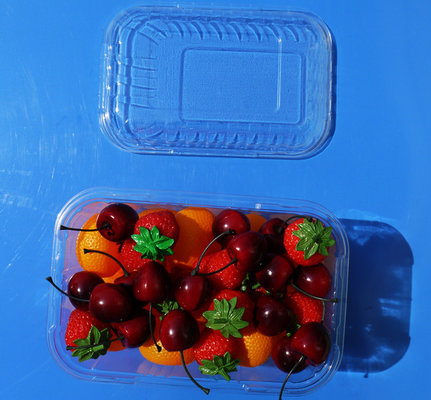 Disposable plastic fruit vegetable food packaging tray 900 grams strawberry packaging tray PET plastic box for fruit