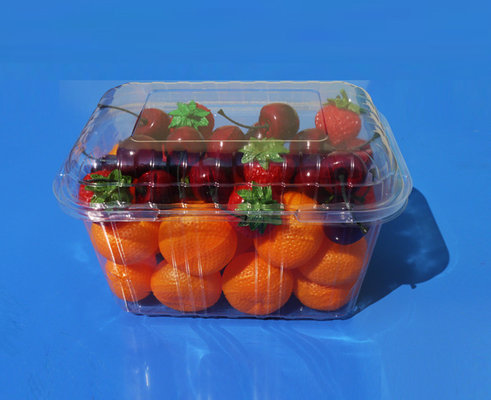 Disposable plastic fruit vegetable food packaging tray 900 grams strawberry packaging tray PET plastic box for fruit