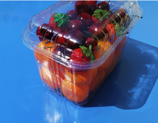 Disposable plastic fruit vegetable food packaging tray 900 grams strawberry packaging tray PET plastic box for fruit