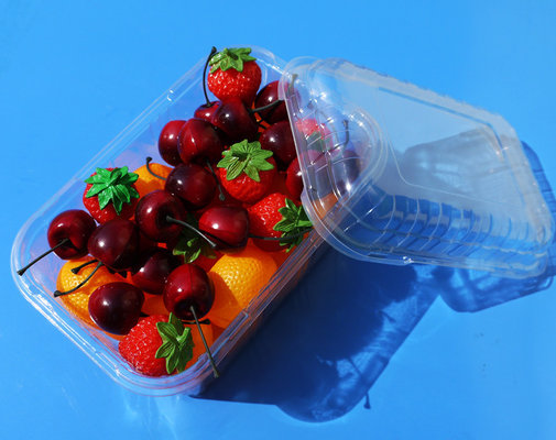 Disposable plastic fruit vegetable food packaging tray 900 grams strawberry packaging tray PET plastic box for fruit