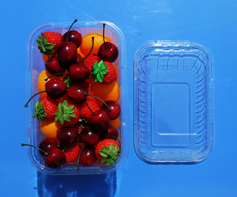 Disposable plastic fruit vegetable food packaging tray 900 grams strawberry packaging tray PET plastic box for fruit