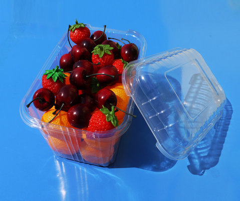 Disposable plastic fruit vegetable food packaging tray 900 grams strawberry packaging tray PET plastic box for fruit