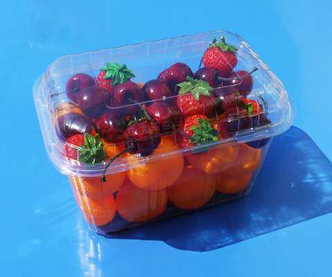 Disposable plastic fruit vegetable food packaging tray 900 grams strawberry packaging tray PET plastic box for fruit