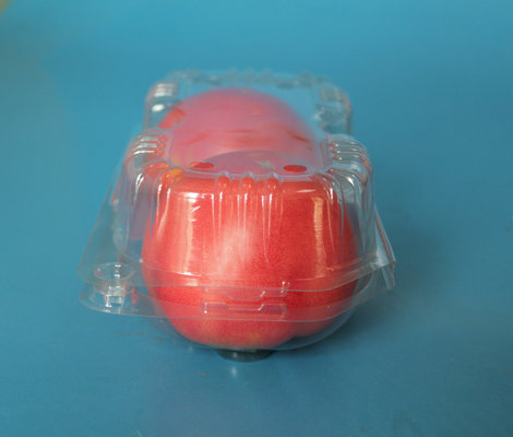 Disposable plastic fruit vegetable food packaging box with holes 2 pcs Tomothos packaging container with holes