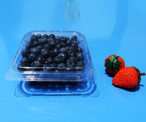 Disposable plastic fruit  packaging box with holes blueberry 125 grams packaging container PET plastic blueberry punnets