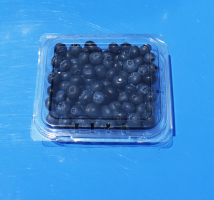 Disposable plastic fruit  packaging box with holes blueberry 125 grams packaging container PET plastic blueberry punnets