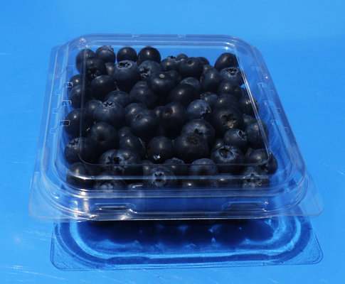 Disposable plastic fruit  packaging box with holes blueberry 125 grams packaging container PET plastic blueberry punnets