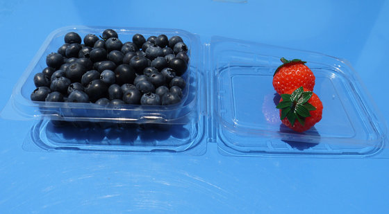 Disposable plastic fruit  packaging box with holes blueberry 125 grams packaging container PET plastic blueberry punnets