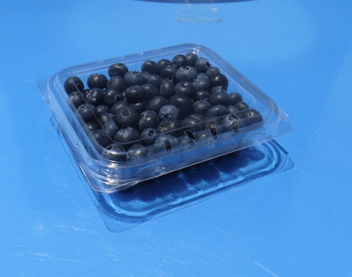 Disposable plastic fruit  packaging box with holes blueberry 125 grams packaging container PET plastic blueberry punnets