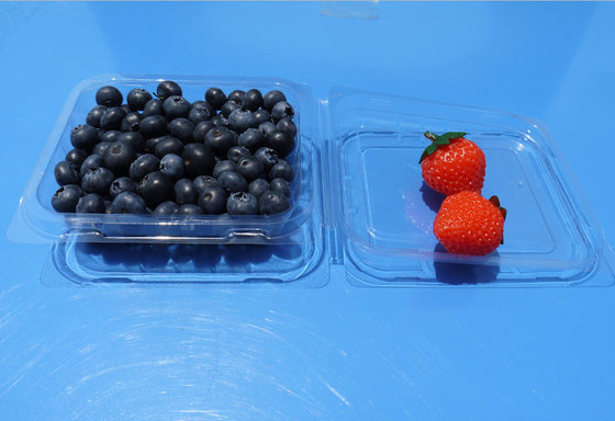 Disposable plastic fruit  packaging box with holes blueberry 125 grams packaging container PET plastic blueberry punnets