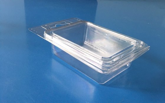 Disposable plastic fruit  packaging box OEM Accepted 20 grams herb packaging box Food packaging box with FDA