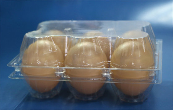 Disposable plastic egg tray 6/8/9/10/12/15/18/20/24/28/30 holes for egg OEM accepted