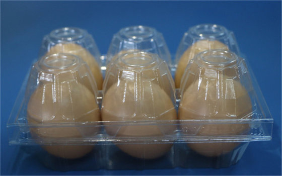 Disposable plastic egg tray 6/8/9/10/12/15/18/20/24/28/30 holes for egg OEM accepted