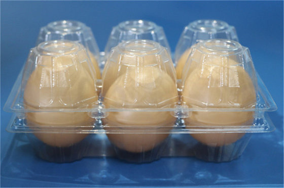 Disposable plastic egg tray 6/8/9/10/12/15/18/20/24/28/30 holes for egg OEM accepted