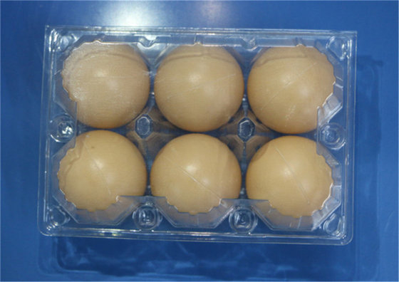 Disposable plastic egg tray 6/8/9/10/12/15/18/20/24/28/30 holes for egg OEM accepted