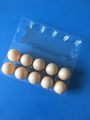 Disposable plastic egg tray 10 holes