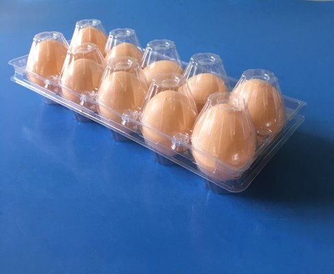 Disposable plastic egg tray 10 holes