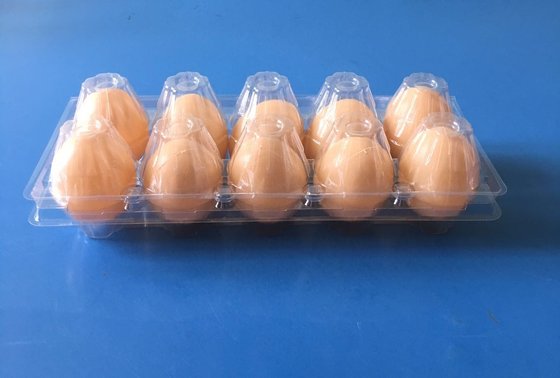 Disposable plastic egg tray 10 holes