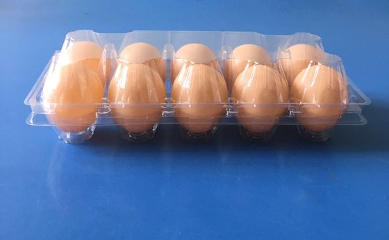 Disposable plastic egg tray 10 holes