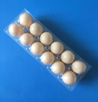 Disposable plastic egg tray 12 holes