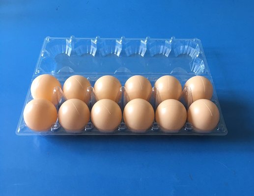 Disposable plastic egg tray 12 holes