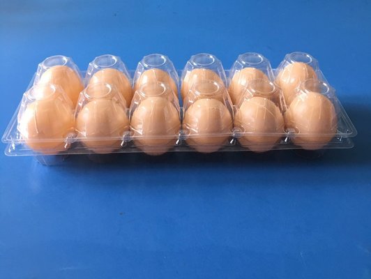 Disposable plastic egg tray 12 holes