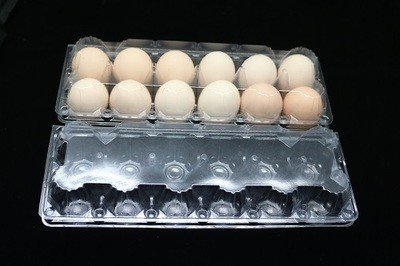 Disposable plastic egg tray 12 holes
