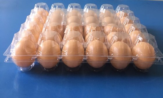 Disposable plastic egg tray 30 holes egg packaging box plastic egg tray 15 slots plastic clamshells egg tray 30 holes