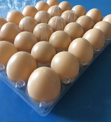Disposable plastic egg tray 30 holes egg packaging box plastic egg tray 15 slots plastic clamshells egg tray 30 holes