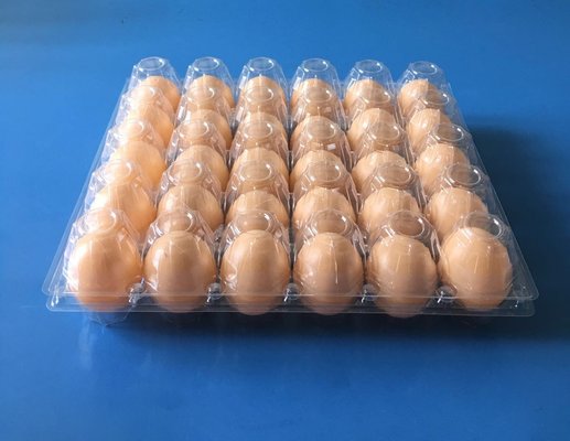 Disposable plastic egg tray 30 holes egg packaging box plastic egg tray 15 slots plastic clamshells egg tray 30 holes