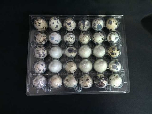 Disposable plastic quail egg tray 30 holes quail egg tray plastic egg tray for quail eggs 30 slots
