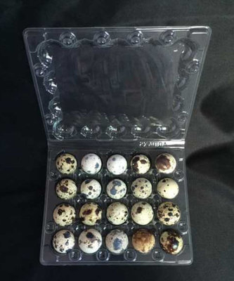 Disposable plastic quail egg tray 30 holes quail egg tray plastic egg tray for quail eggs 30 slots