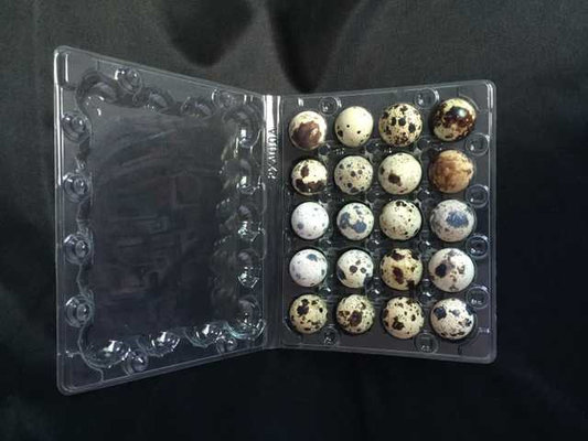 Disposable plastic quail egg tray 30 holes quail egg tray plastic egg tray for quail eggs 30 slots