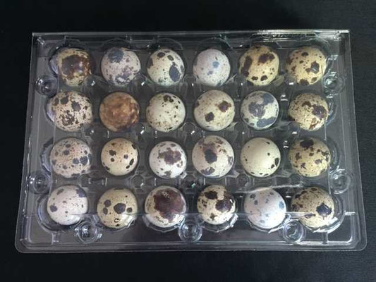 Disposable plastic quail egg tray 24 holes quail egg tray plastic egg tray for quail eggs 24 slots
