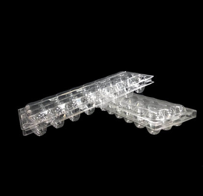 Disposable plastic quail egg tray 20 holes quail egg tray plastic egg tray for quail eggs 20 slots