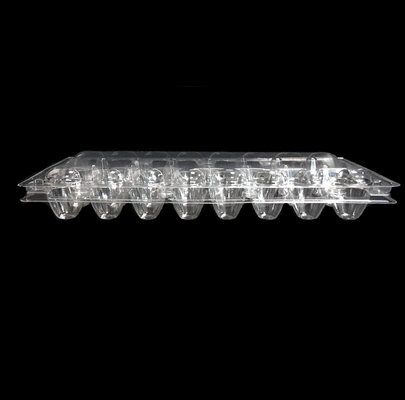 Disposable plastic quail egg tray 20 holes quail egg tray plastic egg tray for quail eggs 20 slots