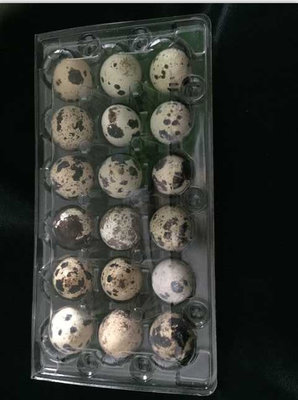 Disposable plastic quail egg tray 18 holes quail egg tray plastic egg tray for quail eggs 18 slots