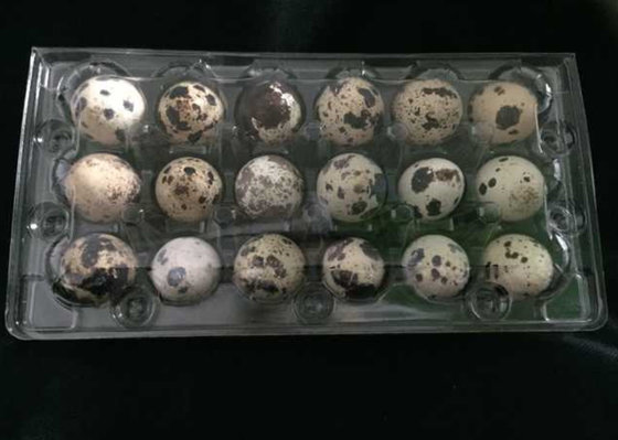 Disposable plastic quail egg tray 18 holes quail egg tray plastic egg tray for quail eggs 18 slots