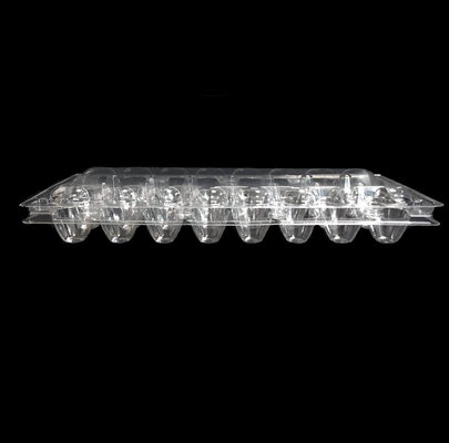 Disposable plastic quail egg tray 12 holes quail egg tray plastic egg tray for quail eggs 12 slots