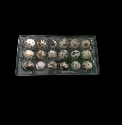 Disposable plastic quail egg tray 12 holes quail egg tray plastic egg tray for quail eggs 12 slots